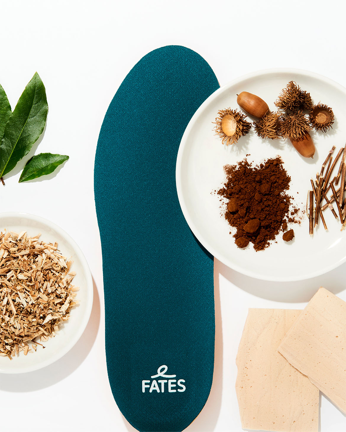 Evoco LTD – powered by nature