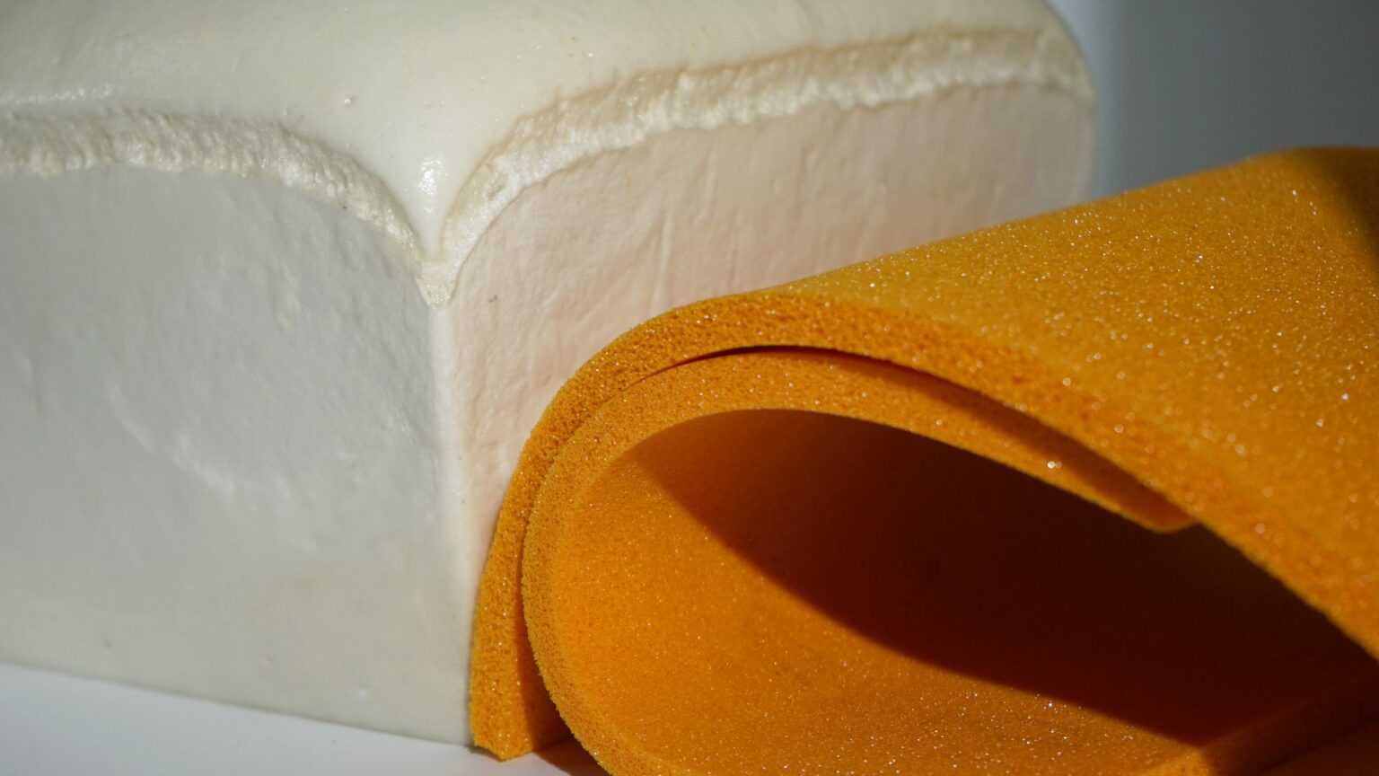 Bio-Foam - Evoco LTD