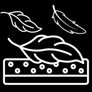 Bio-Foam - Evoco LTD